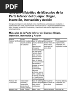 Tabla de M-Sculos Del Miembro Inferior | PDF | Sistema musculoesquelético | Anatomía humana