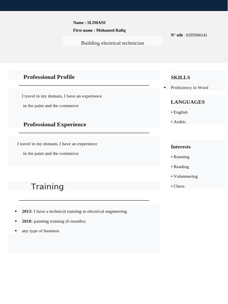 CV Rafiq Englisch | PDF