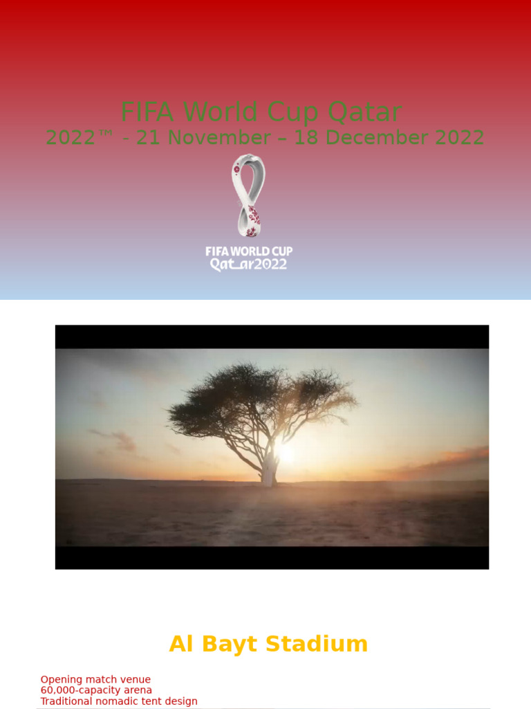 FIFA World Cup 2022 Stadium Overview | PDF