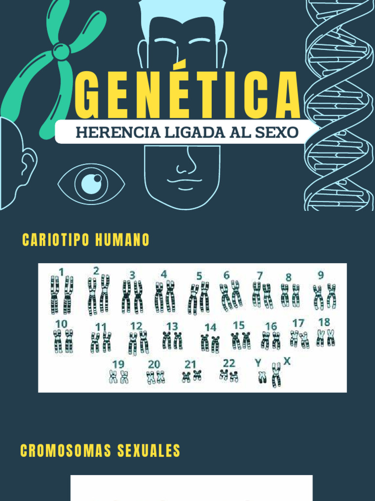 Herencia Ligada al Sexo y Enfermedades Genéticas | PDF