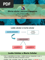 Tipos de Morte Celular: Apoptose e Necrose | PDF | Necrose | Apoptose