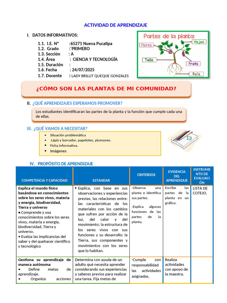D2 A2 SESION CT. ¿CÓMO SON LAS PLANTAS DE MI COMUNIDAD | PDF ...