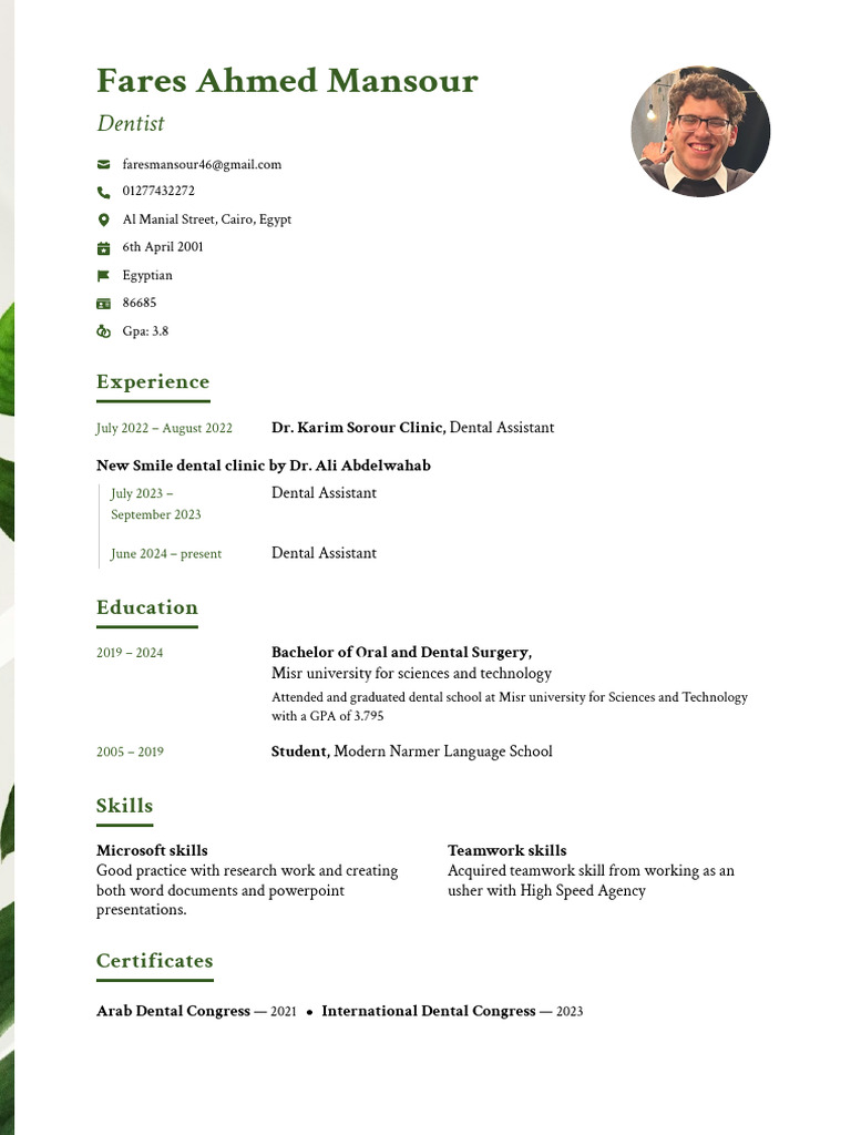 CV Fares Ahmed Mansour | PDF