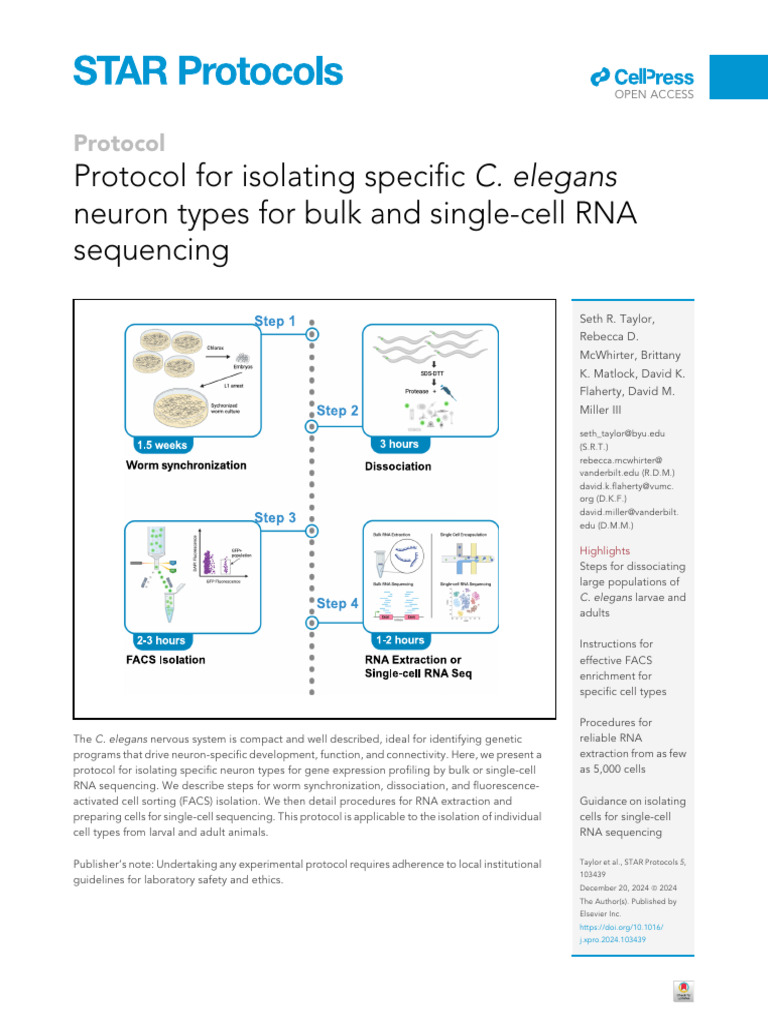 Protocol For Isolating Specific C Elegans Neuron T | PDF | Flow ...