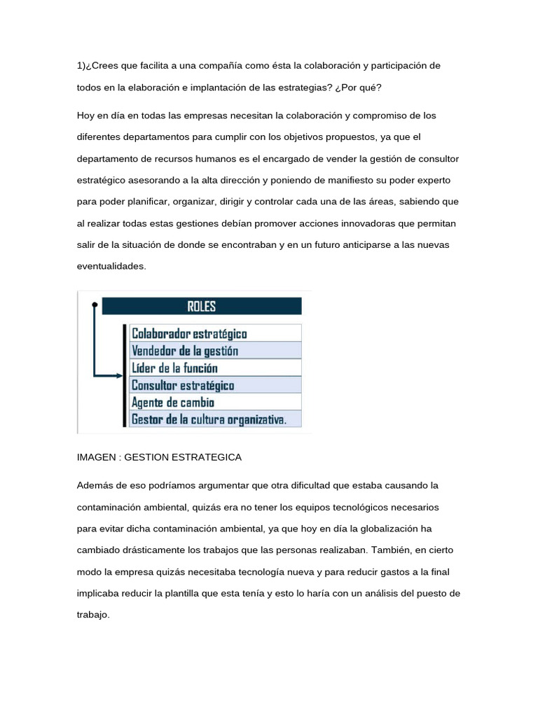 Lica Sur | PDF | Gestión estratégica | Gestión de recursos humanos