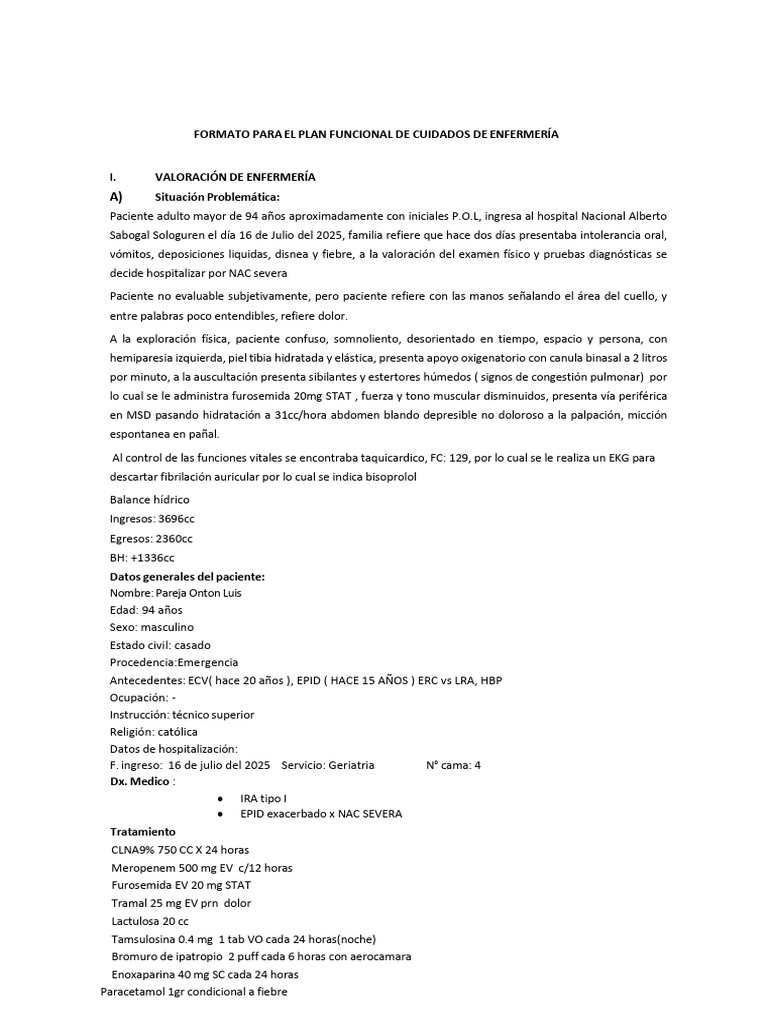 Formato para El Plan Funcional de Cuidados de Enfermería | PDF | Sistema respiratorio ...