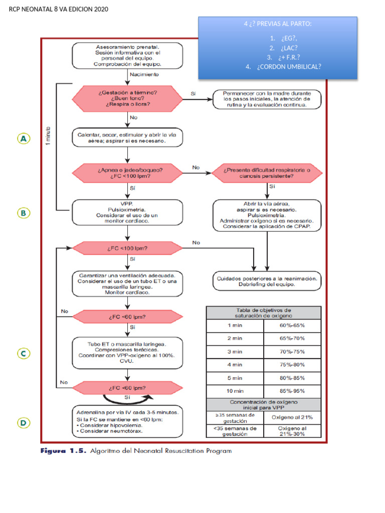 RCP Neonatal - Guía | PDF | Reanimación cardiopulmonar | Primeros auxilios