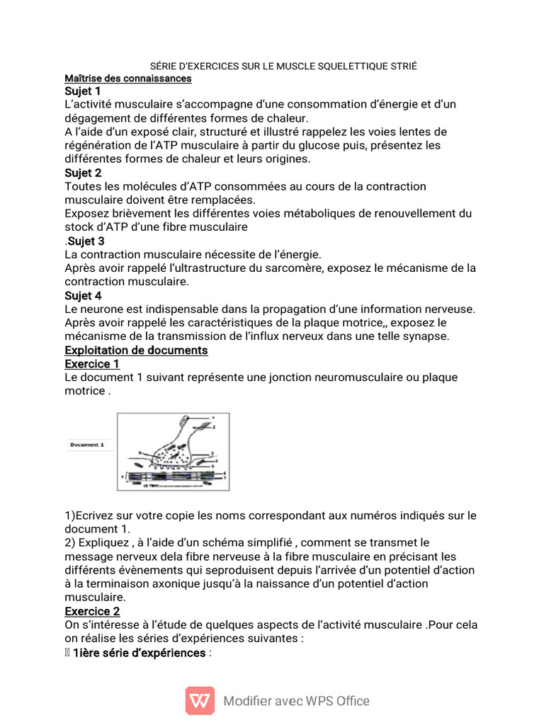 Exercices sur la contraction musculaire | PDF | Muscle | Contraction du ...