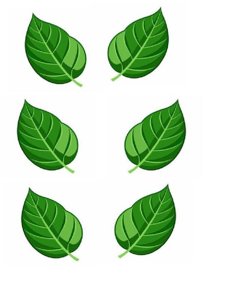 Daun | PDF
