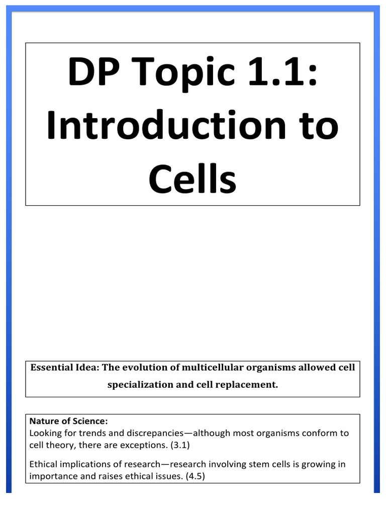 Cells: The Smallest Unit of Life | PDF | Cell (Biology) | Cell Potency