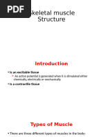 The Structure of Skeletal Muscle (6.3.2) AQA A Level Biology Revision ...