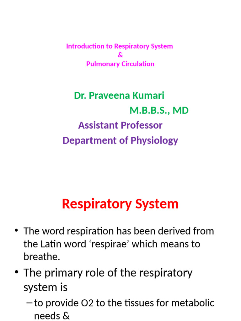 Introduction To Respiratory System & Pulmonary Circulation | PDF | Blood Pressure | Lung