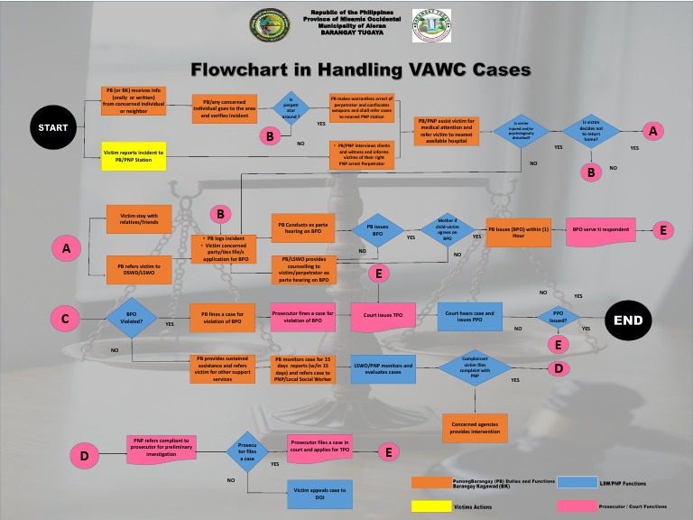 Flowchart in Handling VAWC Cases | PDF | Misconduct | Government