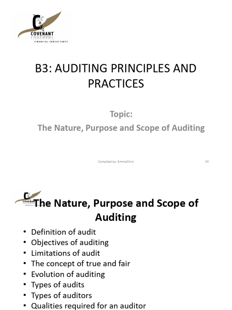 Scope of Auditing Principles | PDF | Audit | Internal Audit