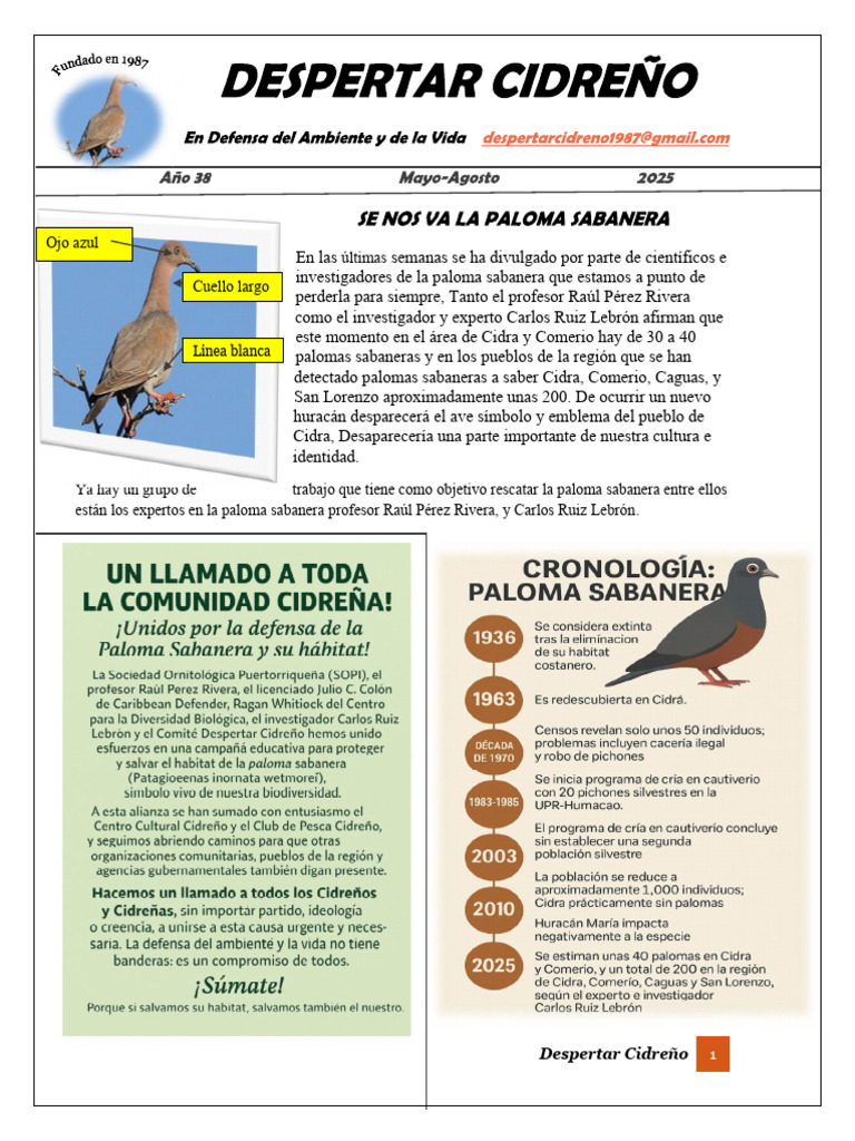 Protección de la paloma sabanera | PDF