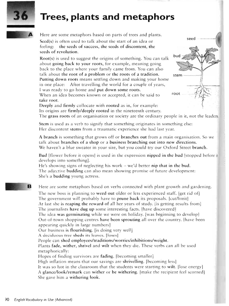 36 Trees Plants and Metaphors | PDF