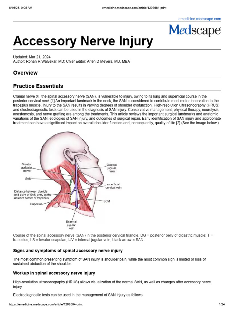 Accessory Nerve Injury Treatment & Management | PDF | Neck | Shoulder
