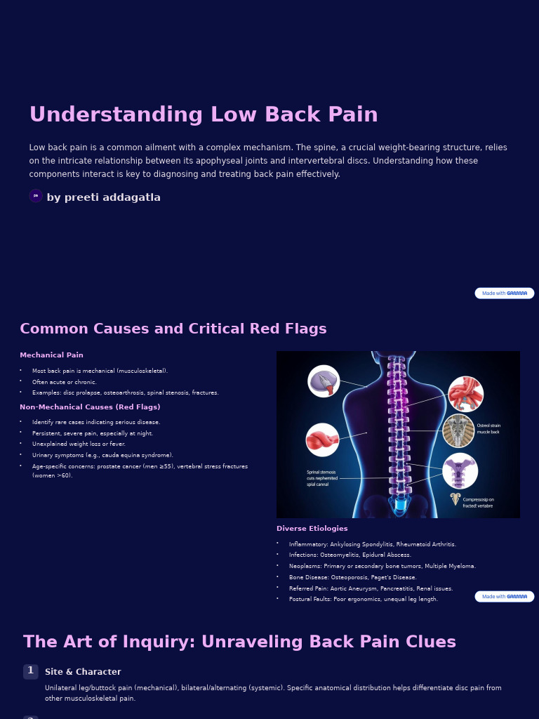 Low Back Pain: Causes & Red Flags | PDF | Back Pain | Low Back Pain