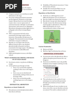 Prime Factors of X-Ray Exposure | PDF | Radiography | X Ray