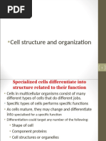 Cell Specialization and Organ Systems | PDF | Tissue (Biology) | Cell ...