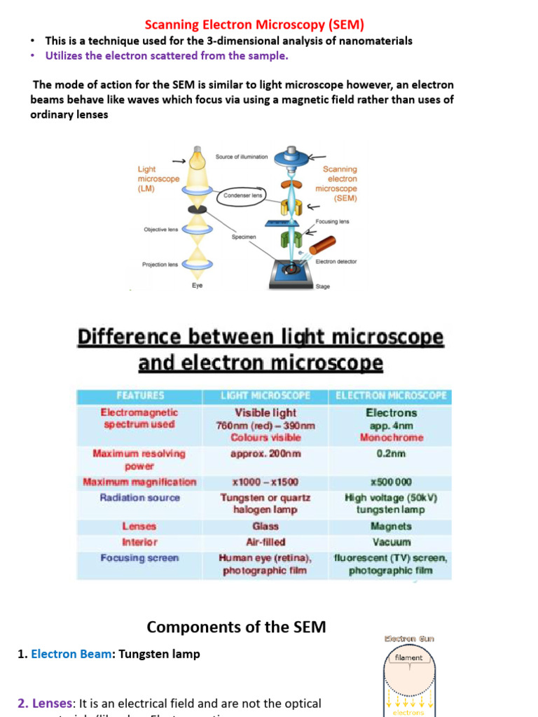 SEM, TEM, TGA, Gel ELectrophoresis Molecular Level Report | PDF ...
