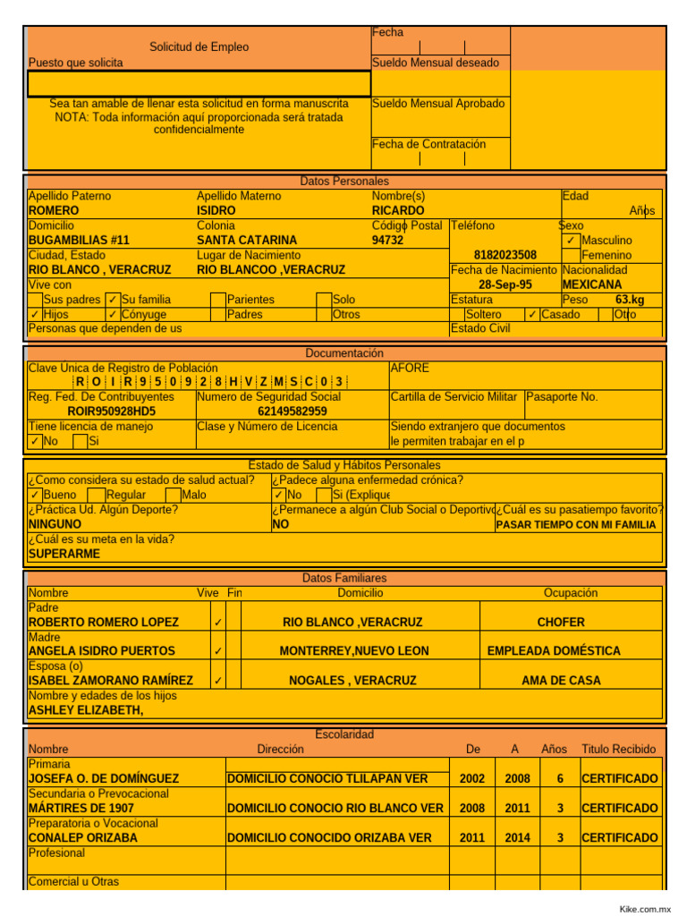 Copia de FORMATO - Solicitud - de - Empleo | PDF