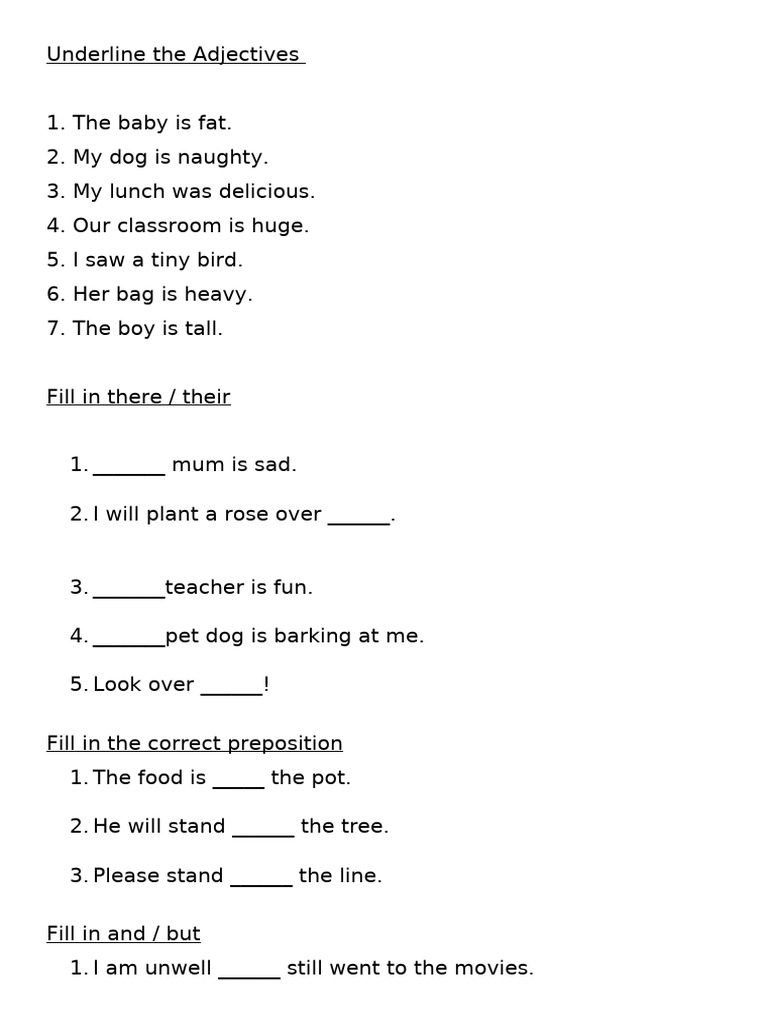 Underline The Adjectives | PDF