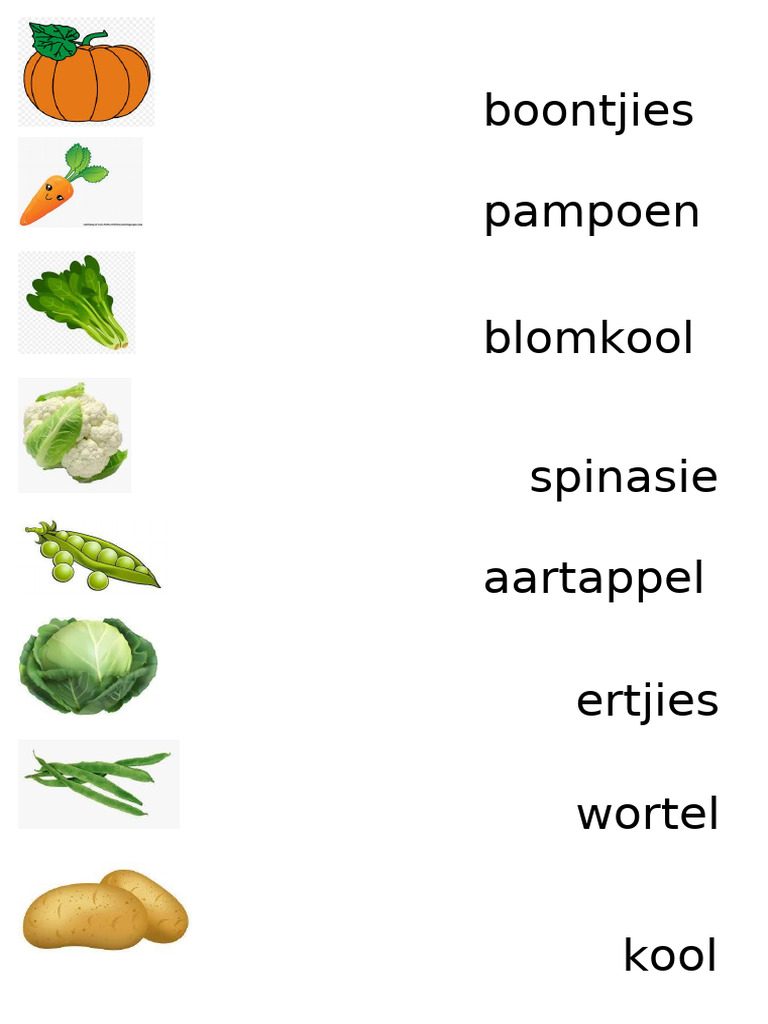 Boontjies | PDF