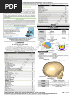 Transes Template for Medical Courses | PDF