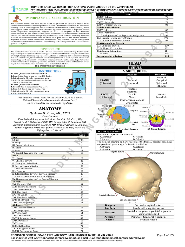 October 2023 Anatomy Handout Guide | PDF | Skull | Human Anatomy