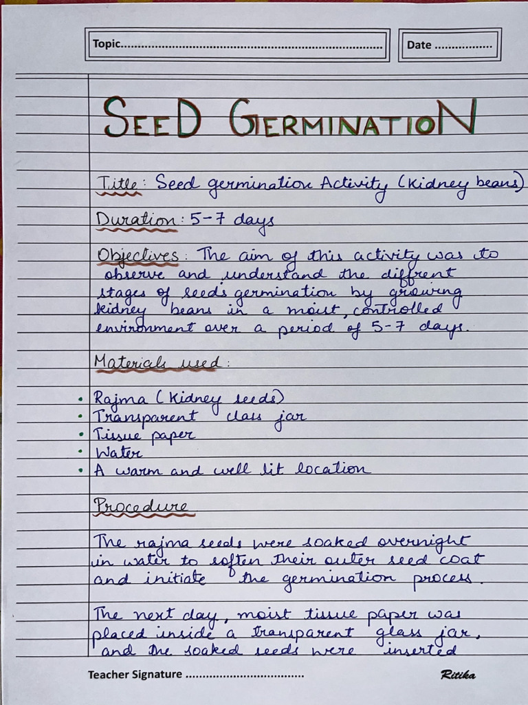 Seed Germination | PDF