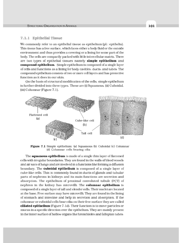 NCERT Class 11 Biology Removed | PDF