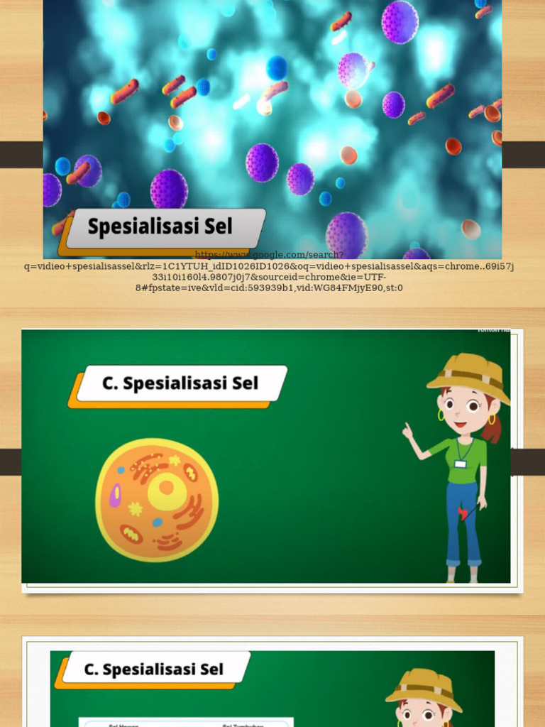 Spesialisasi Sel | PDF