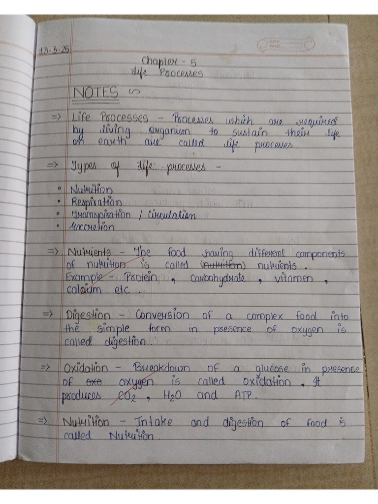 10th Biology Life Processes Notes | PDF
