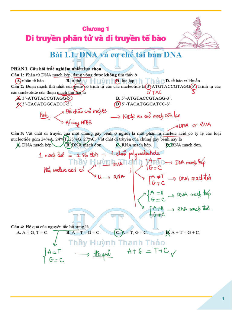 Chương 1 - Bài 1.1 Dna Và Cơ Chế Tái Bản Dna (Bt1) | PDF