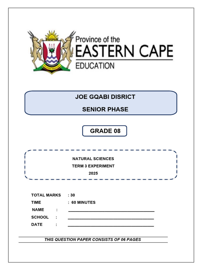 2024 Ns Grade 8 Term 3 Project Grade 8 | PDF | Series And Parallel ...