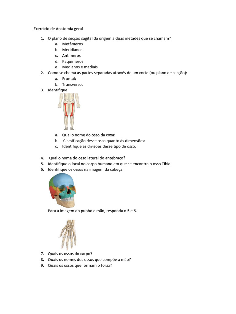 Exerc Cio Complementar de Anatomia Geral | PDF