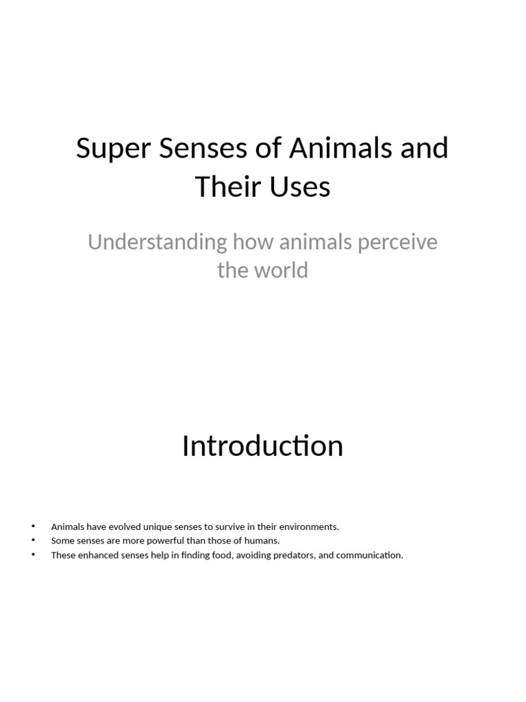 Super Senses in Animals Explained | PDF