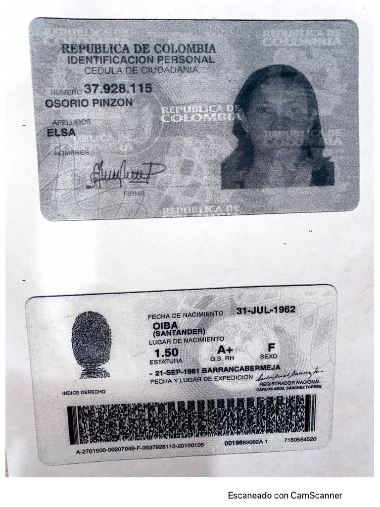 Cedula Elsa Ok | PDF