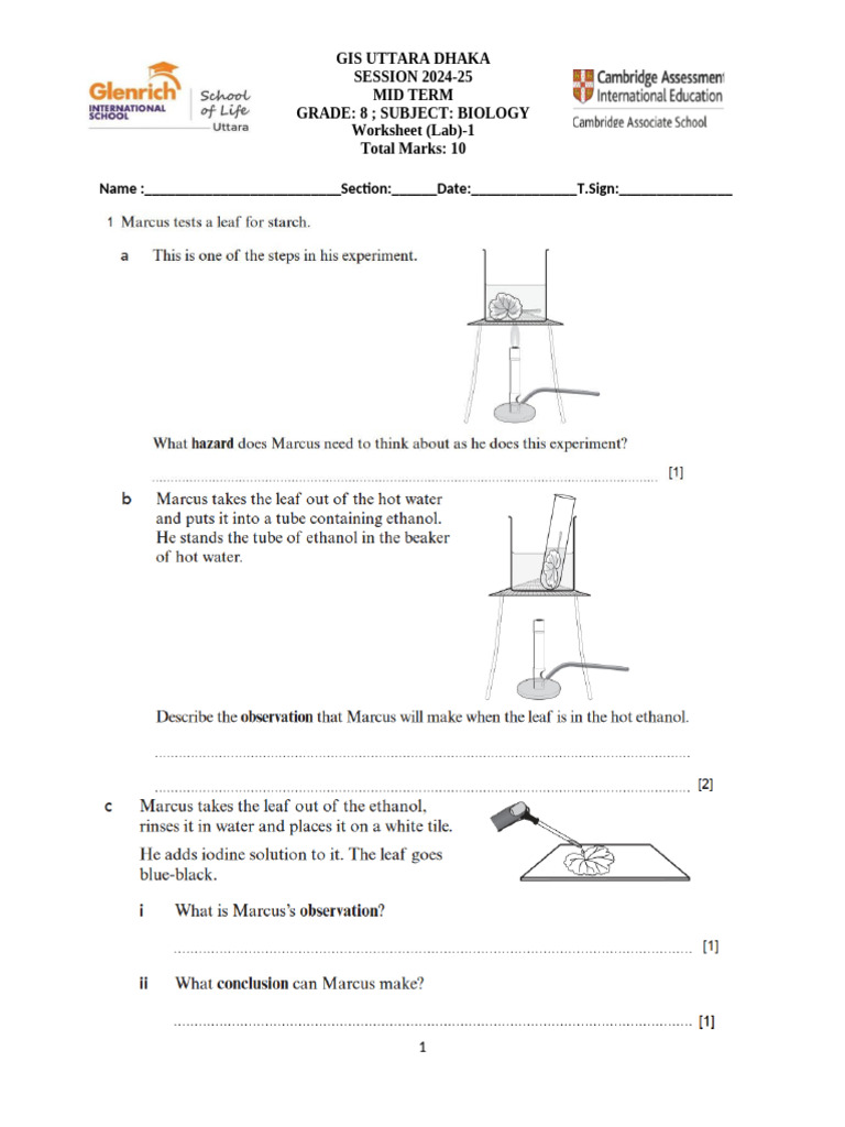 Gr-8 Formative Worksheet (Lab) - 1 | PDF