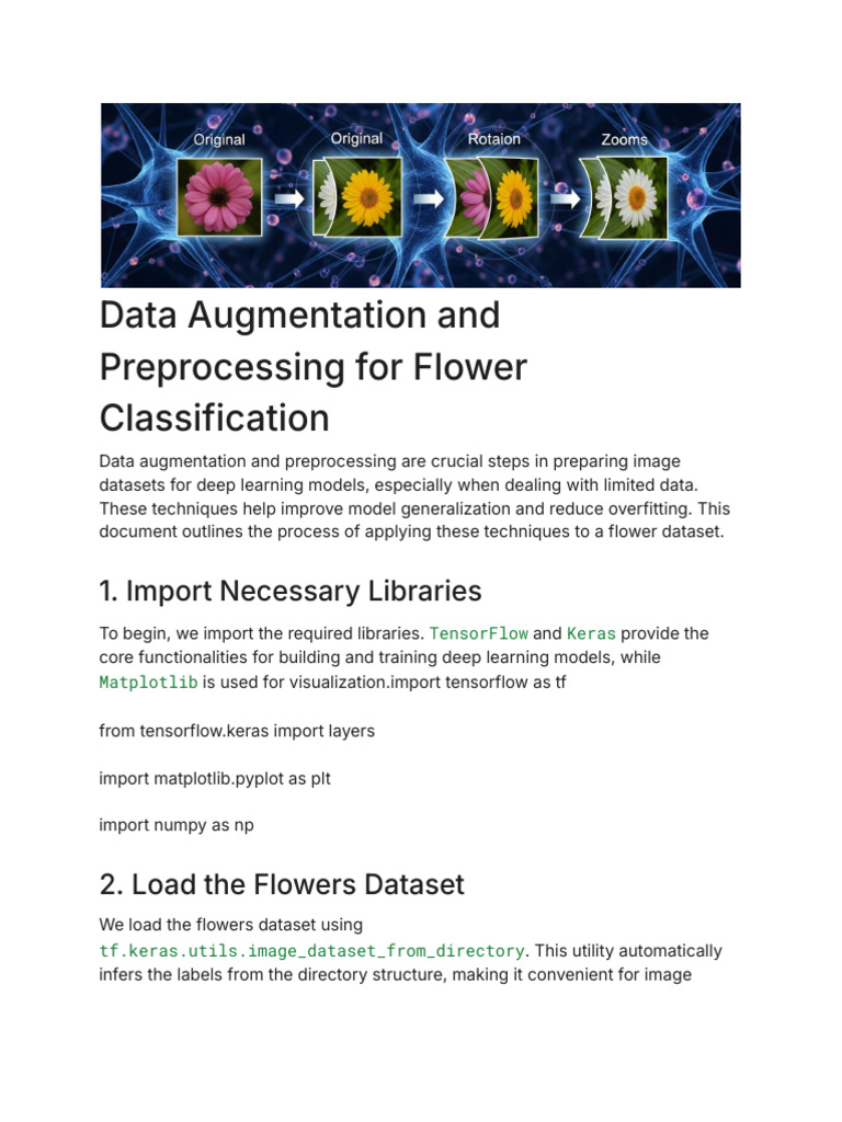 D2 Deep Learning Workshop Session 2 Pdf Cognitive Science