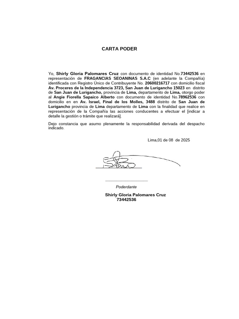 Carta Poder para Representación Legal | PDF