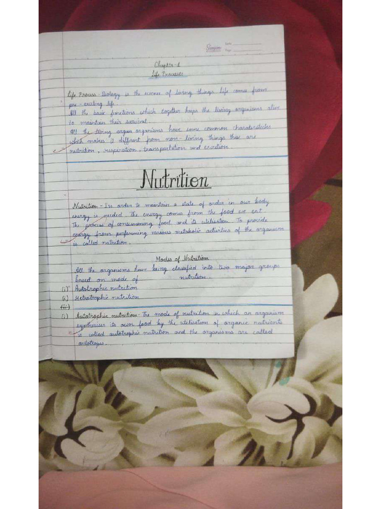 Bio Ch 1 Class Notes Pdf