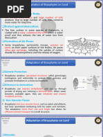Types of Aestivation in Flowers | PDF | Petal | Plants