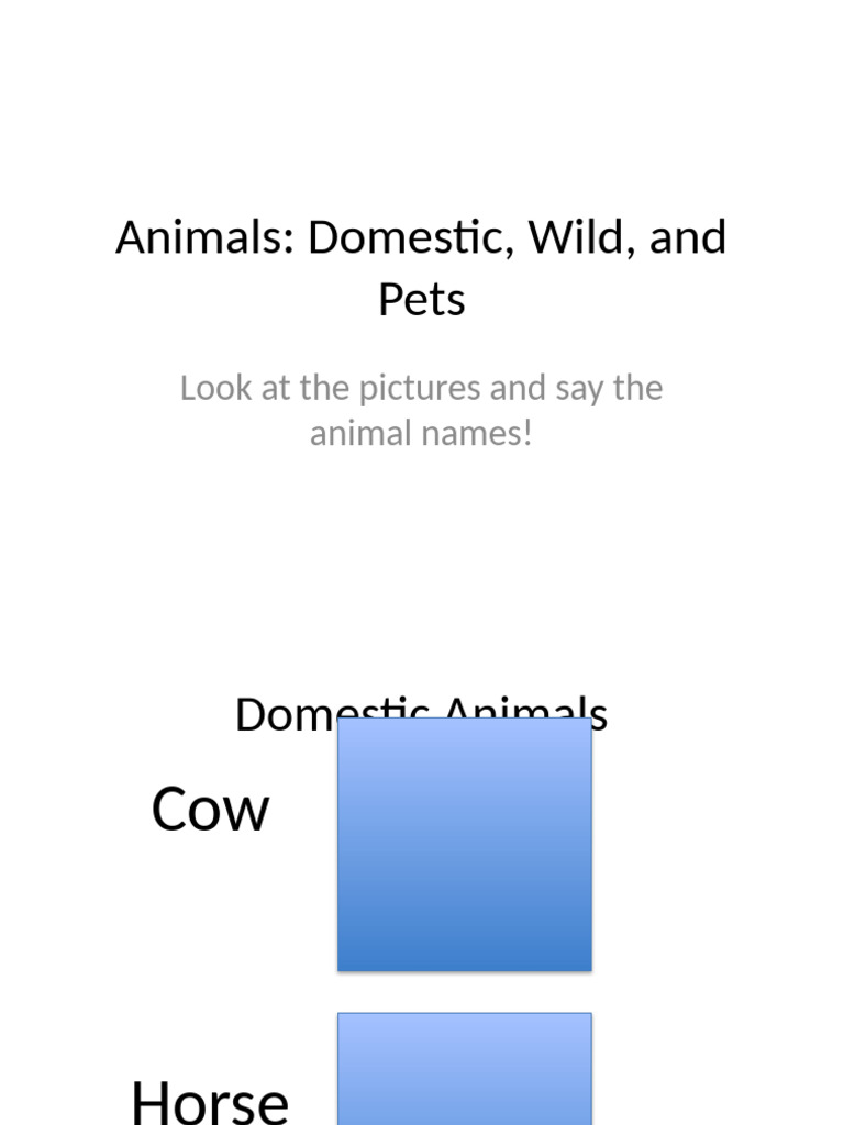 Animal Learning PPT With Placeholders | PDF