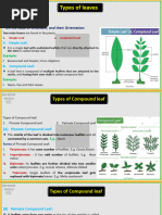 Types of Aestivation in Flowers | PDF | Petal | Plants