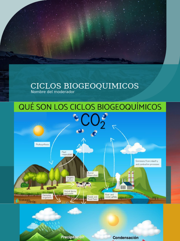 Ciclos Biogeoquimicos | PDF