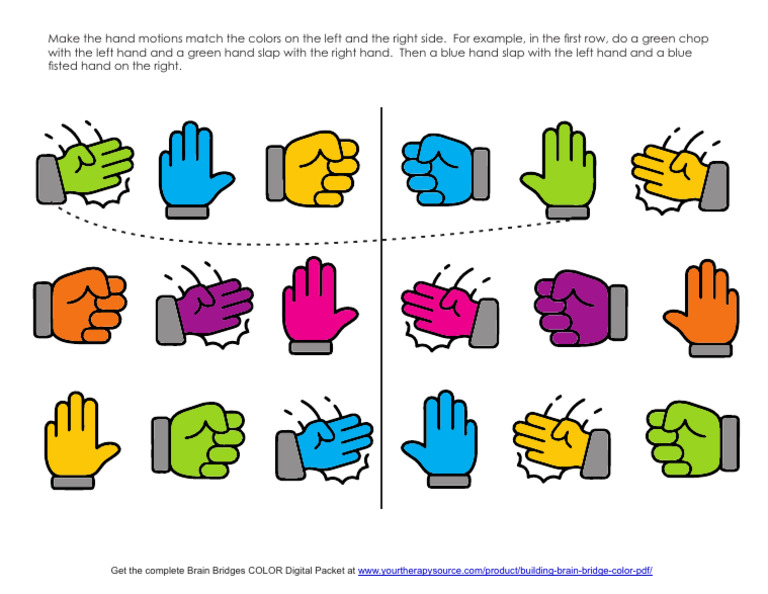 Brain Bridges Color Activity Guide | PDF