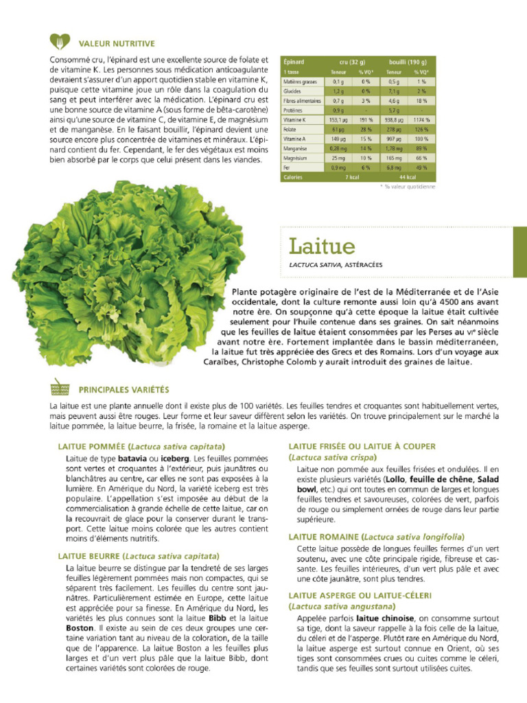 Laitue | PDF