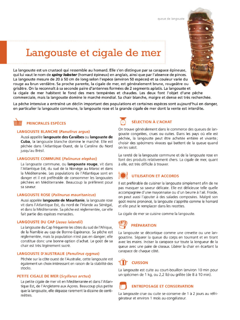 Langouste Et Cigale de Mer | PDF